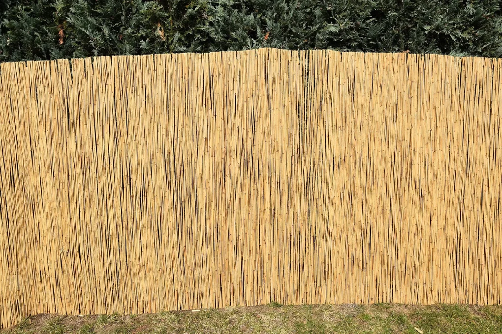 Vingo Rákosová zástěna na plot Výška plotu: 180 cm, Délka plotu: 600 cm ...