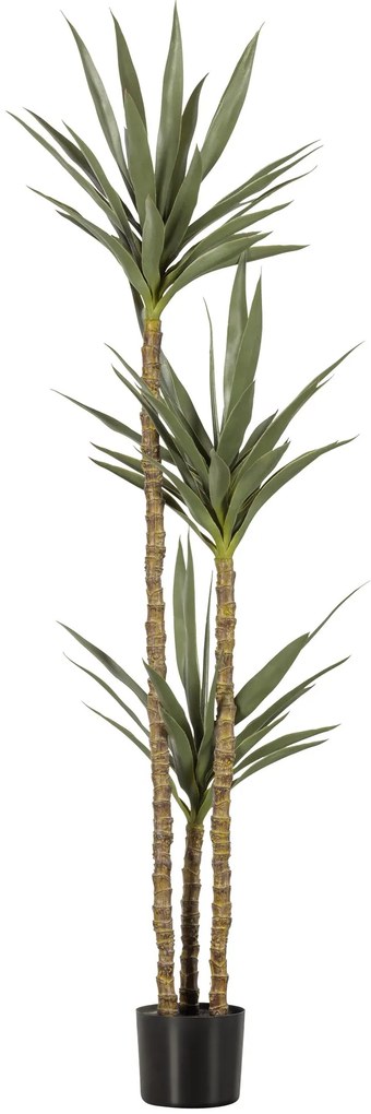 WOOOD Umělá rostlina YUCCA 155cm