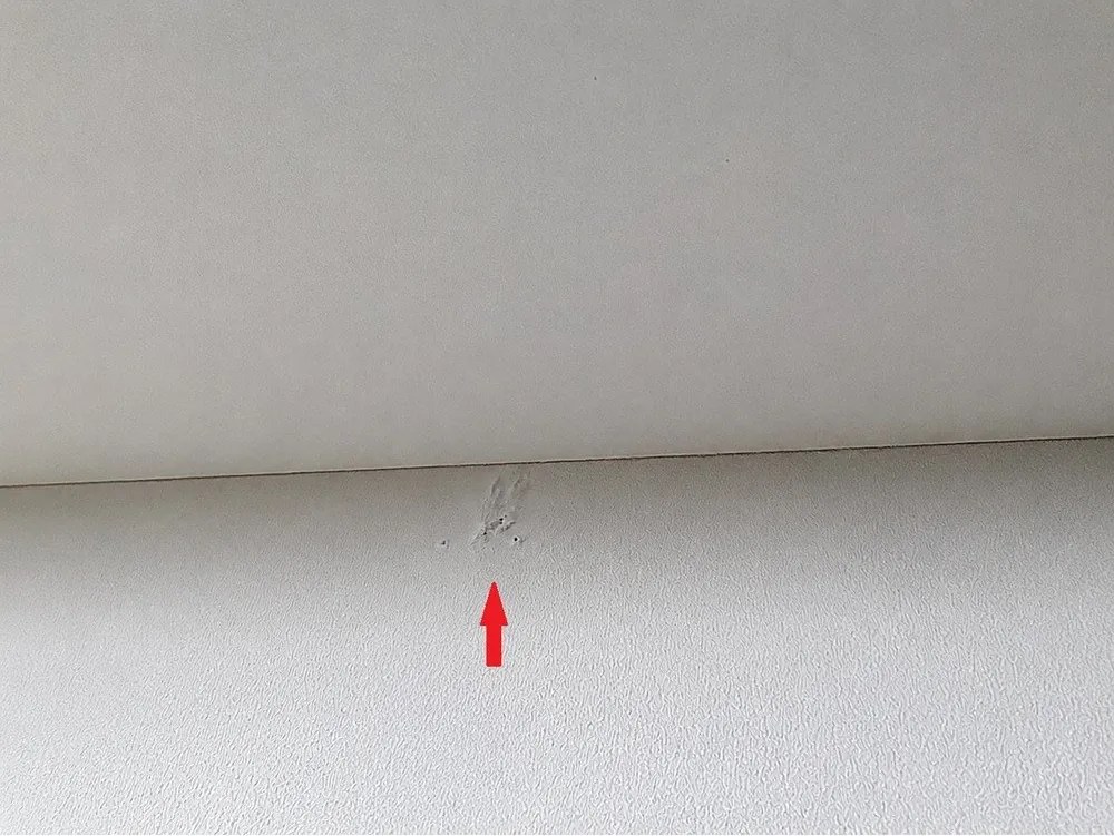 Světle zelená manšestrová rozkládací/s úložným prostorem pohovka 218 cm Tori - II. jakost – Bonami Selection