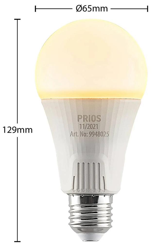LED žárovka E27 A65 15W bílá 2 700K sada 10 ks