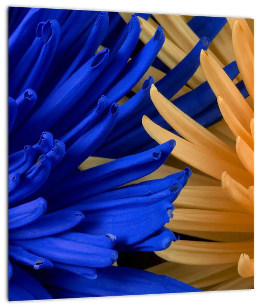 Detailní obraz květů (30x30 cm)