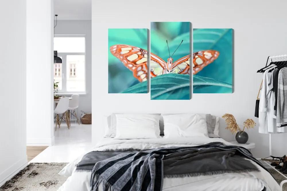 Vícedílný obraz Motýl Na Listu V Makro Měřítku Nedostatek Nedostatek Přírodní plátno 180x120