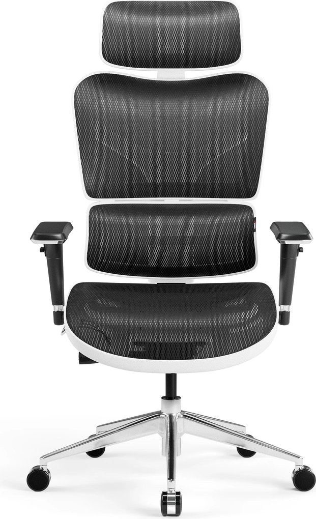 Ergonomická kancelářská židle, bílo-černá: Diablo V-Commander