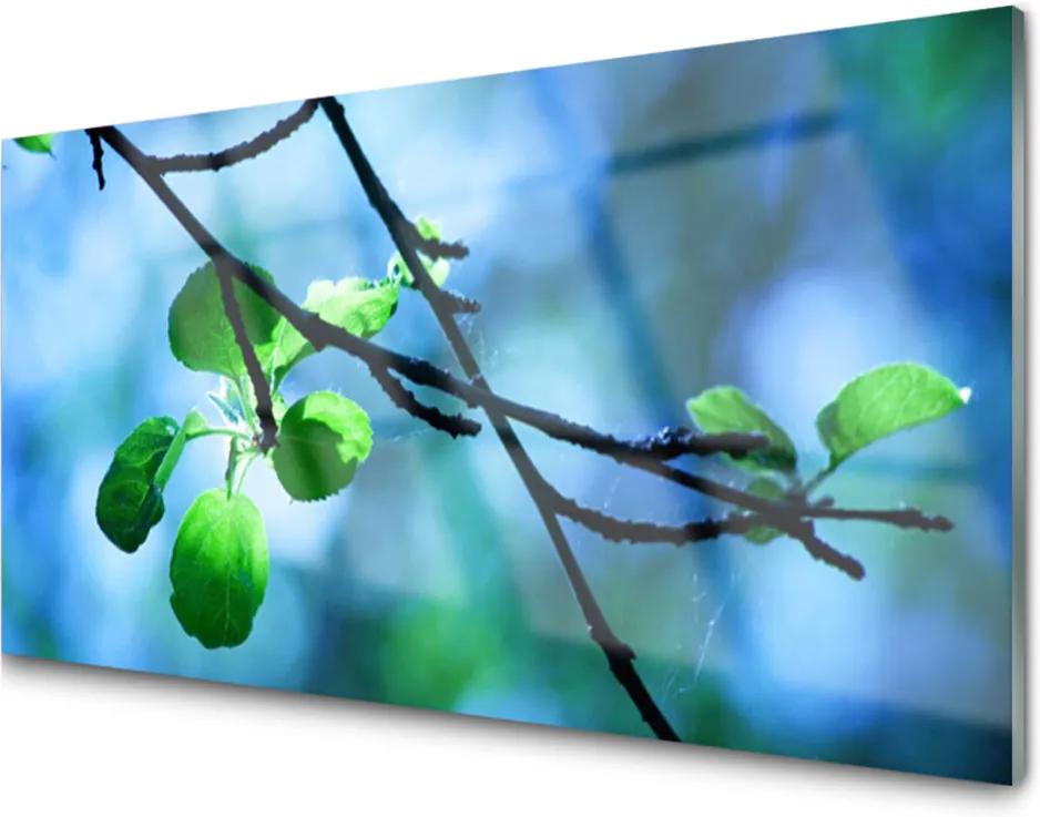Plexisklo obraz Větev Listy Rostlina Příroda
