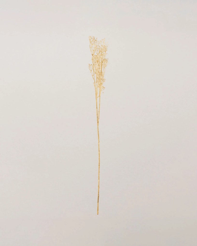 Větev Frostbloom ecru 80 cm