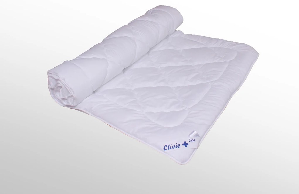 2G Přikrývka Clivie celoroční 220x135(1100g)