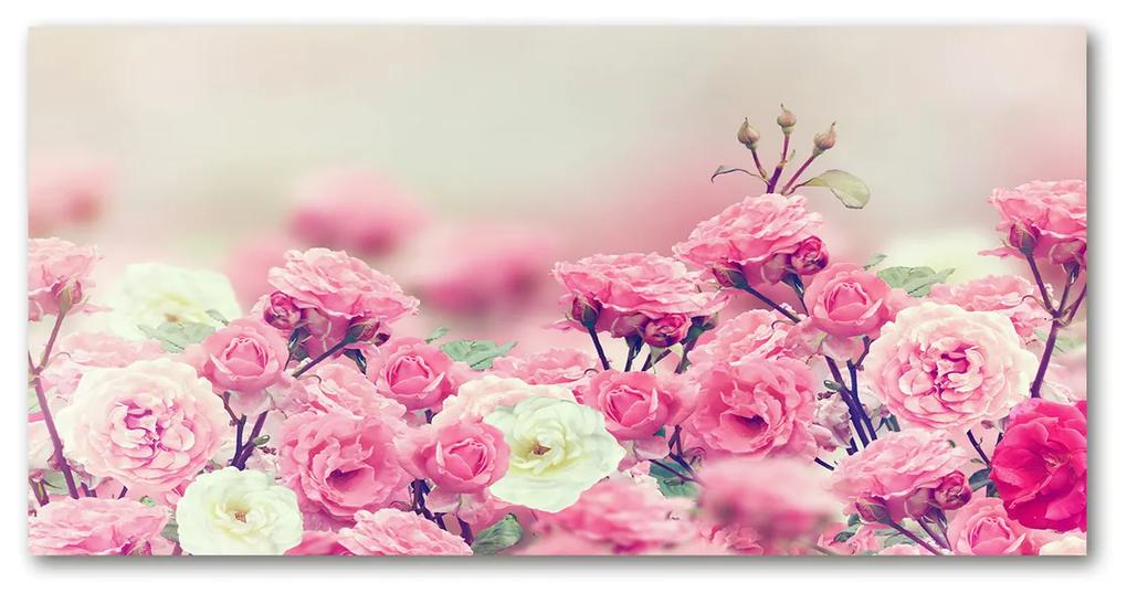 Moderní skleněný obraz z fotografie Květy divoké růže
