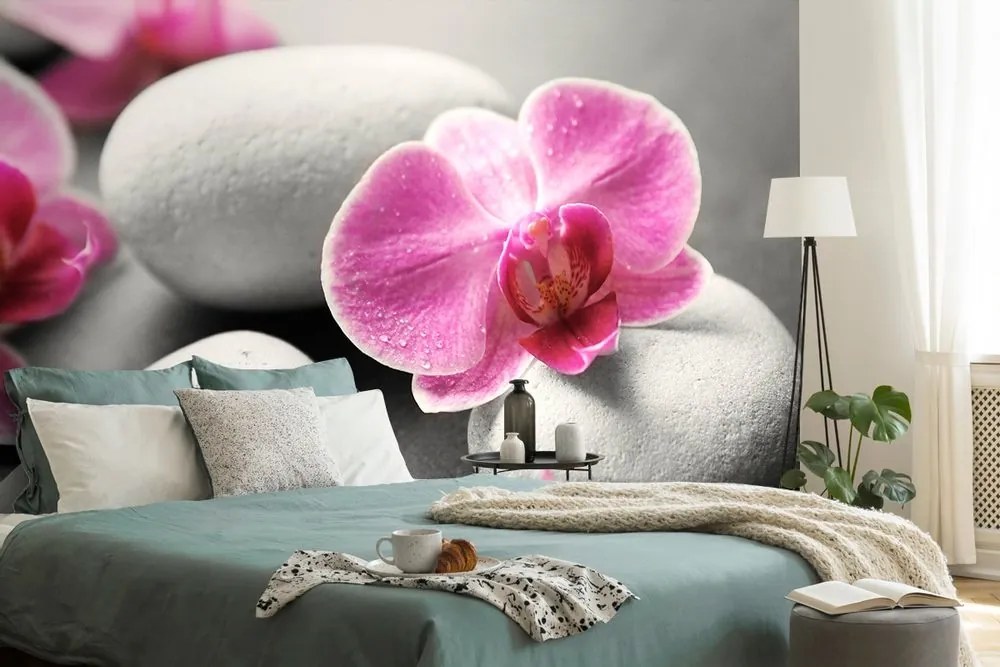 Fototapeta květiny orchideje na kamenech - 150x100 cm