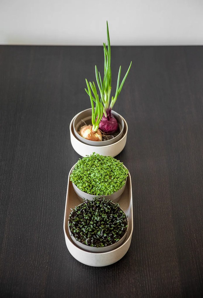 Velká farma - Klíčící miska Microgreens+Regrow, slonová kost s kávovou sedlinou