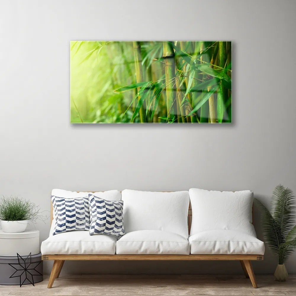 Obraz na skle Bambus Stonky Rostlina 120x60 cm