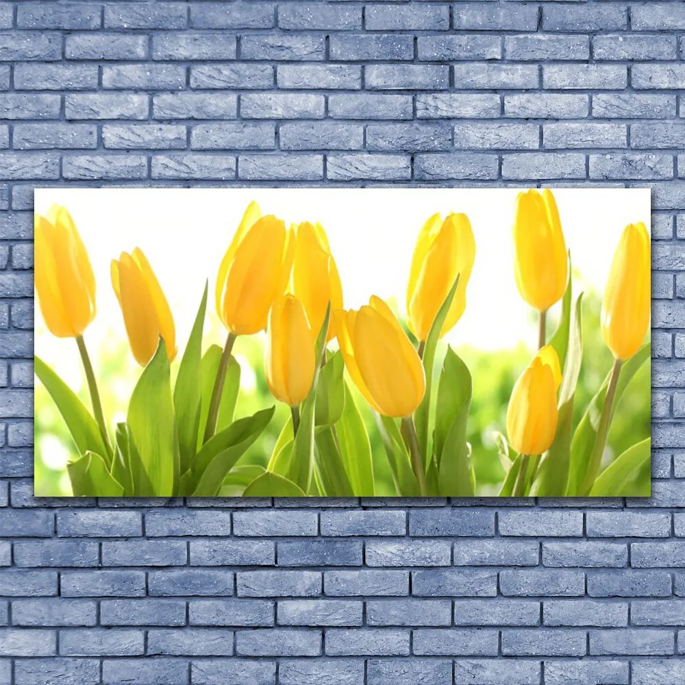 akrylový obraz Tulipány Květiny Rostlina 120x60 cm