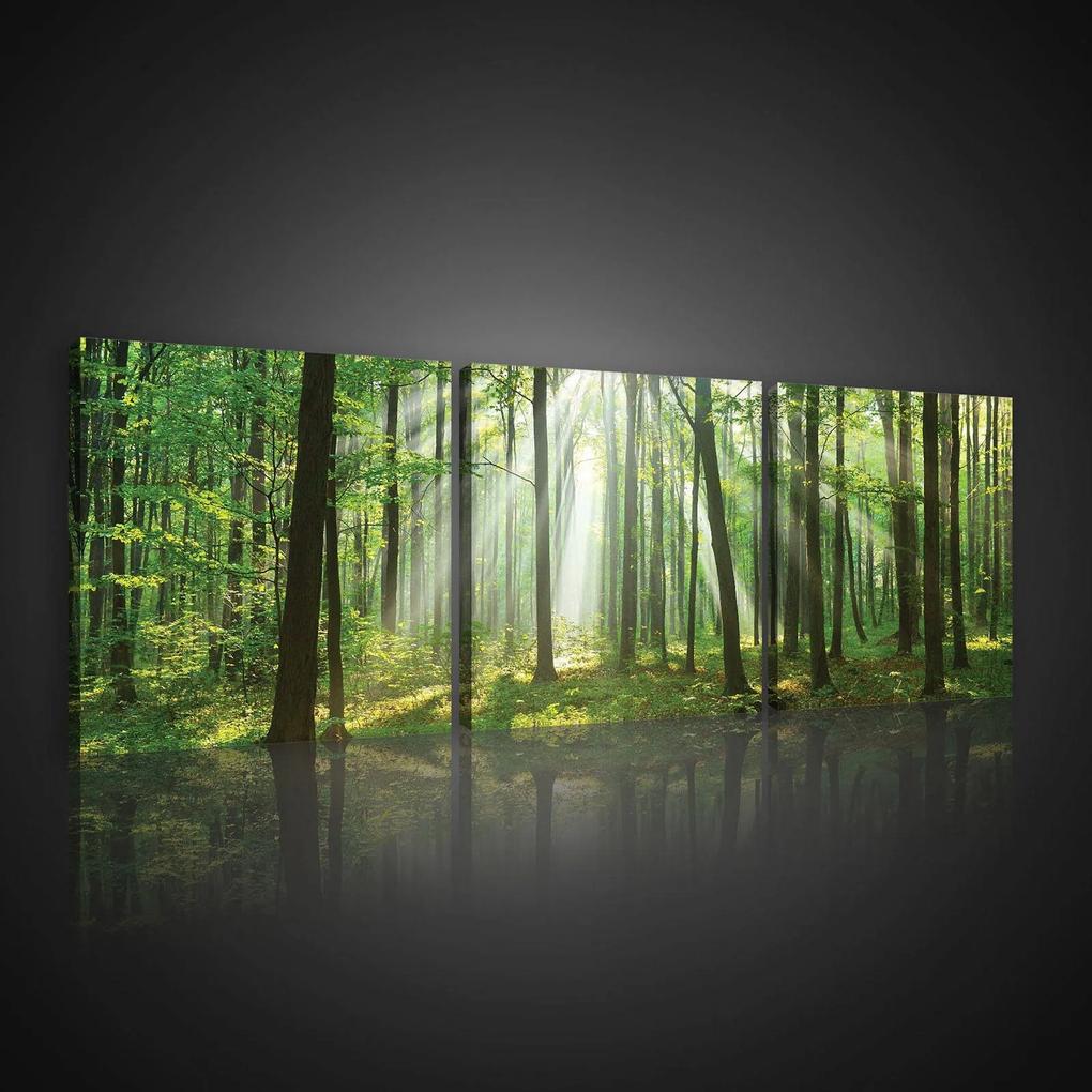 Postershop Obraz na plátně: Slunce v lese (3) - set 3ks 25x25cm