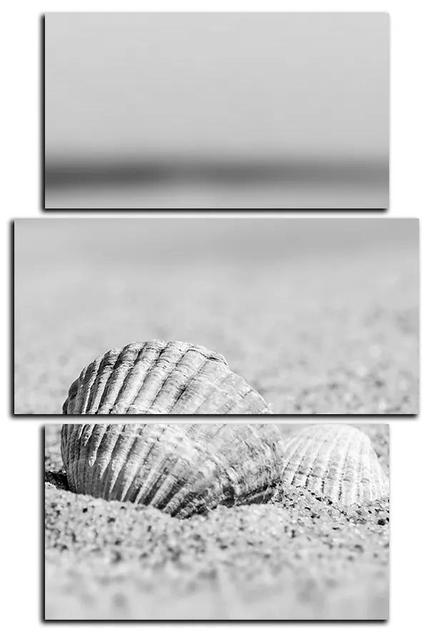 Obraz na plátně - Moře a mušle - obdélník 7126QC (90x60 cm)