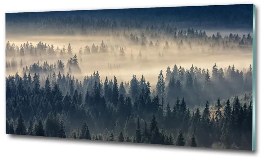 Wallmuralia Foto obraz fotografie na skle Mlha nad lesem 100x50