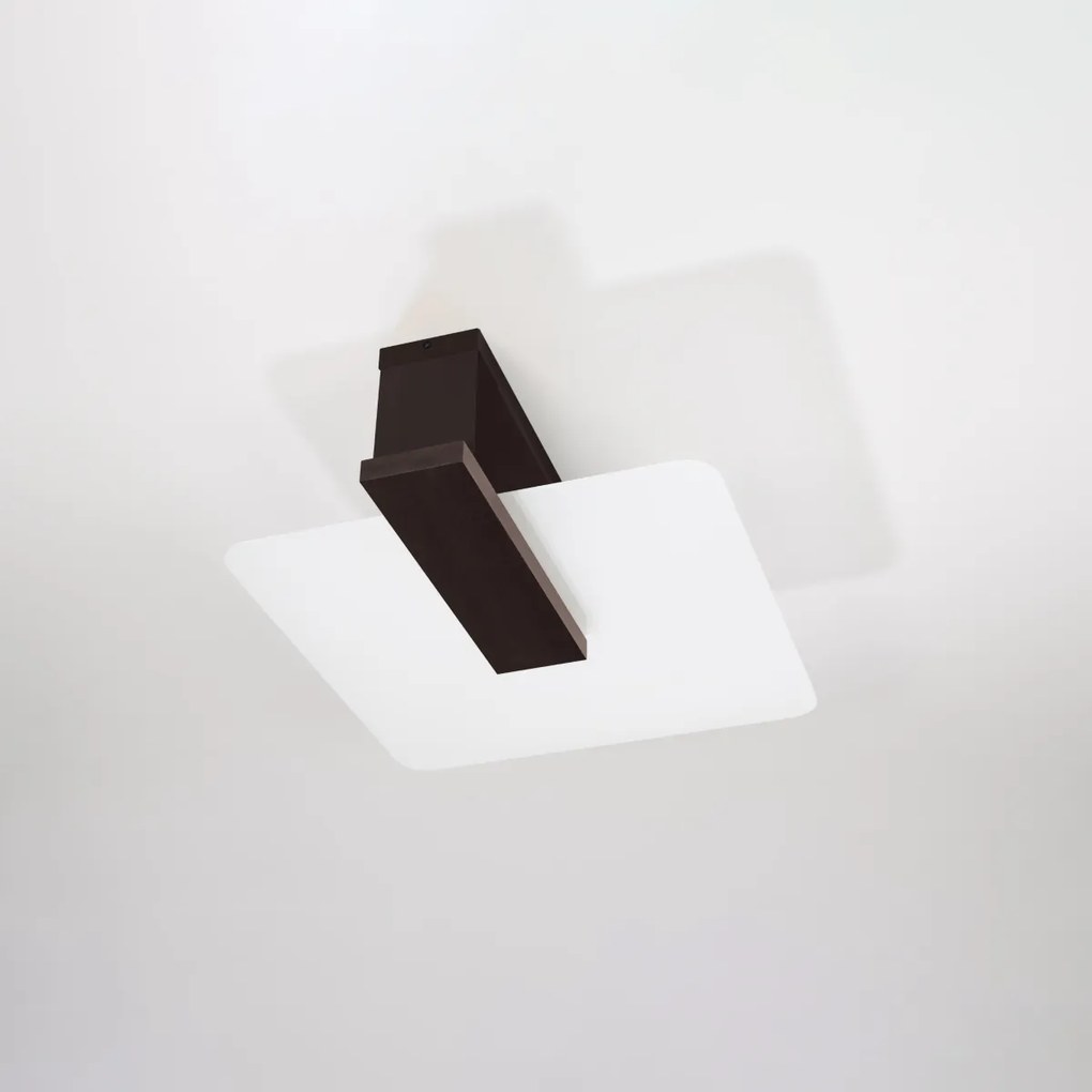 Sollux Lighting Stropní svítidlo LAPPO wenge