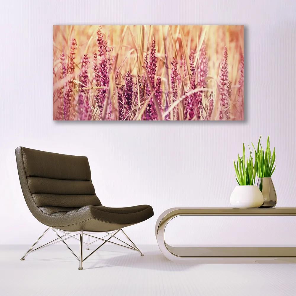 Plexisklo-obraz Pšenice Rostlina Příroda 120x60 cm