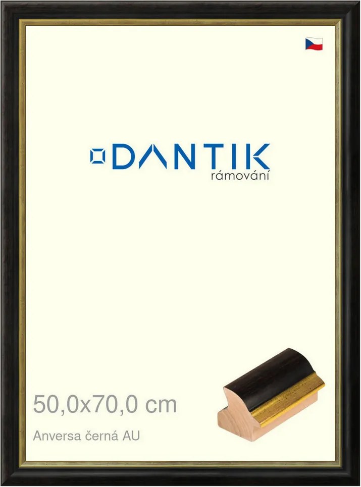 DANTIK rámeček 50x70 | ANIVERSA černá AU (Plexi Čiré)