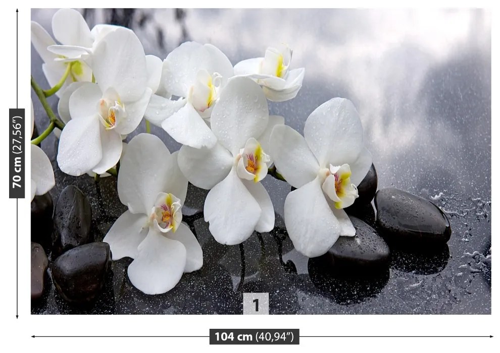 Fototapeta Orchidejové kameny 104x70