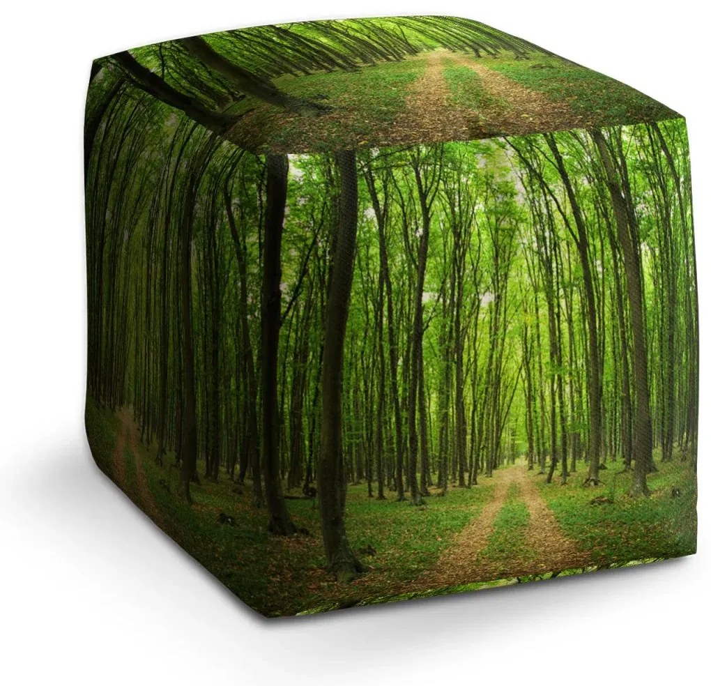 Sablio Taburet Cube Cesta v lese: 40x40x40 cm