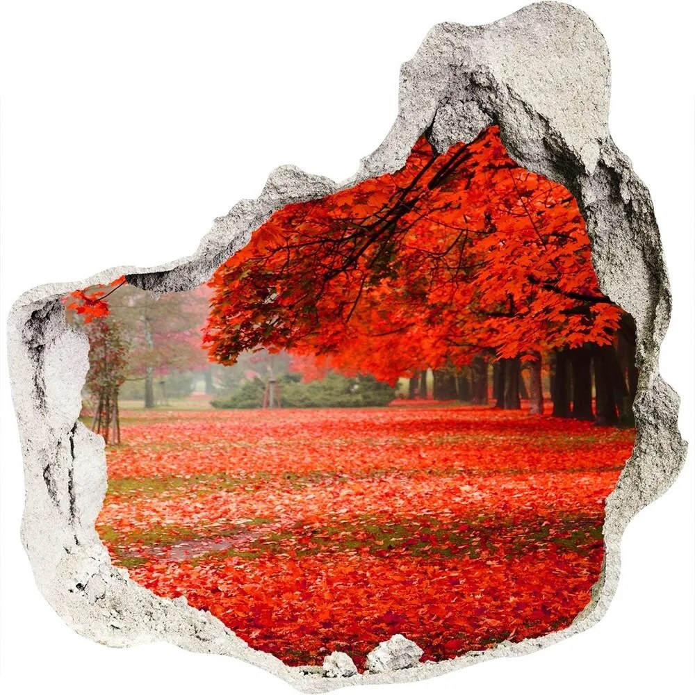 Wallmuralia Samolepící díra na stěnu Stromy podzim 75x75 cm