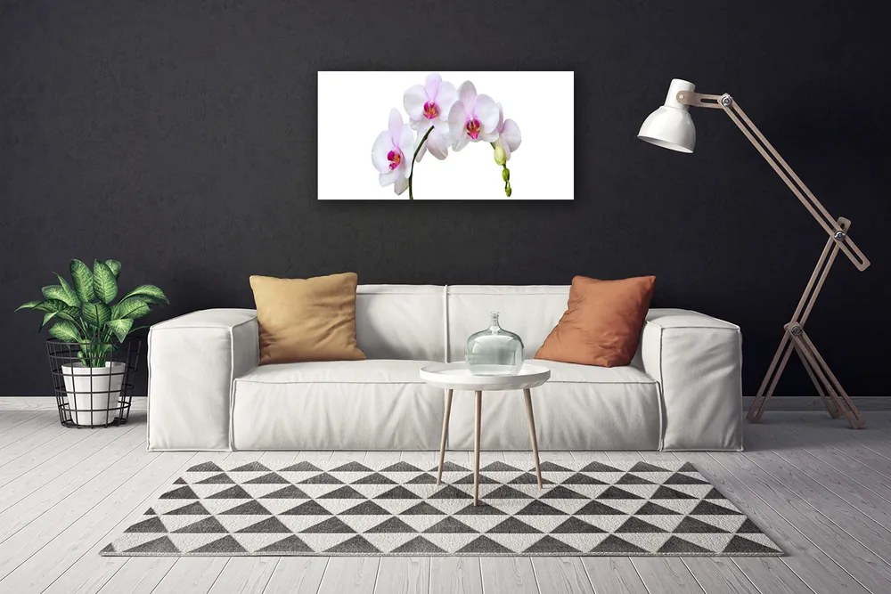 Obraz na plátně Vstavač Orchidej Květiny 100x50 cm