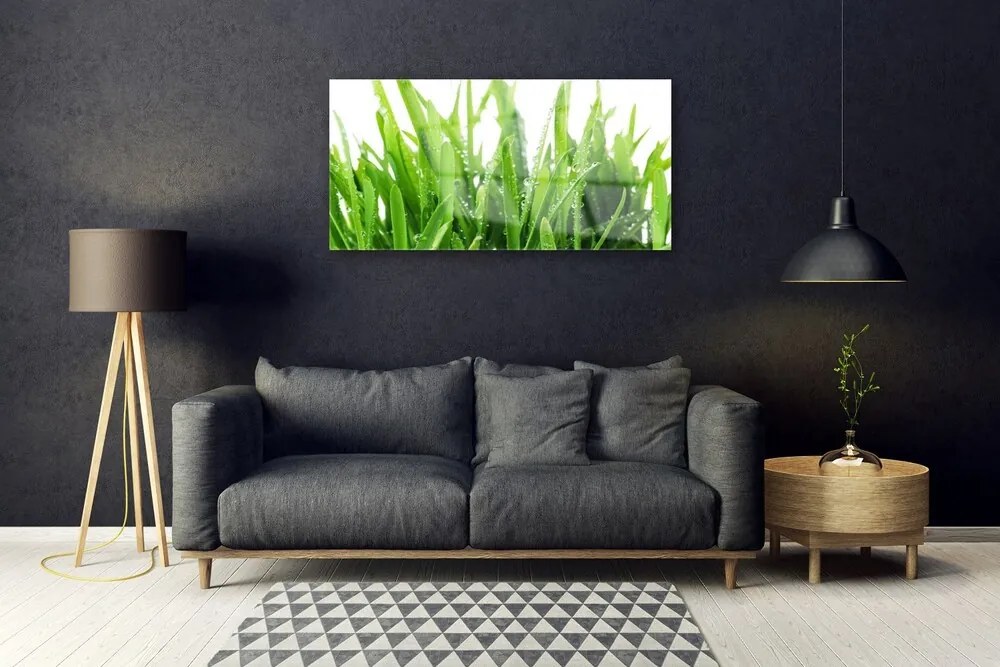 akrylový obraz Tráva Rostlina 100x50 cm