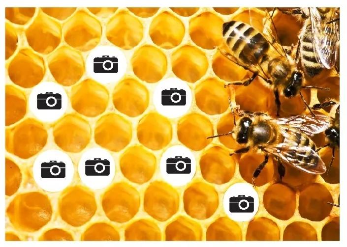IMPAR Fleecová deka Koláž včely 360g/m² 140x200 cm