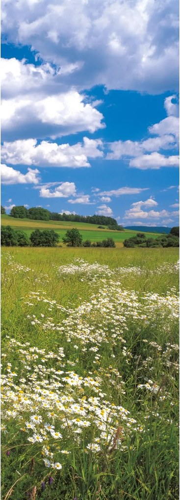 Komar Vliesová fototapeta Meadow 100 x 280 cm