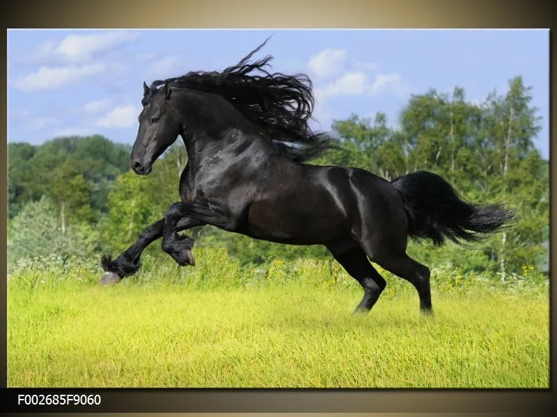 Obraz na plátně Černý kůň v běhu, Obdélník 90x60cm 1520 Kč