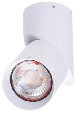 LED bodové světlo Santos bílé/bílé