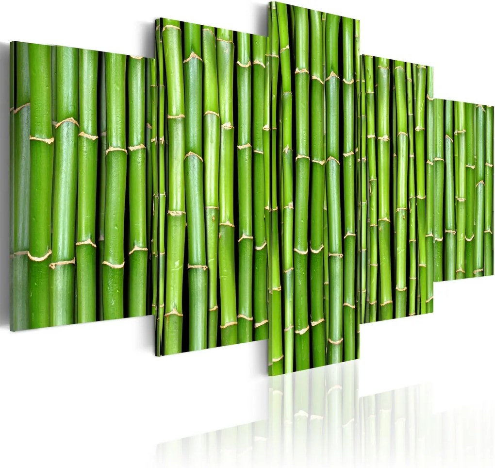 Obraz - Zelený bambus - 200x100