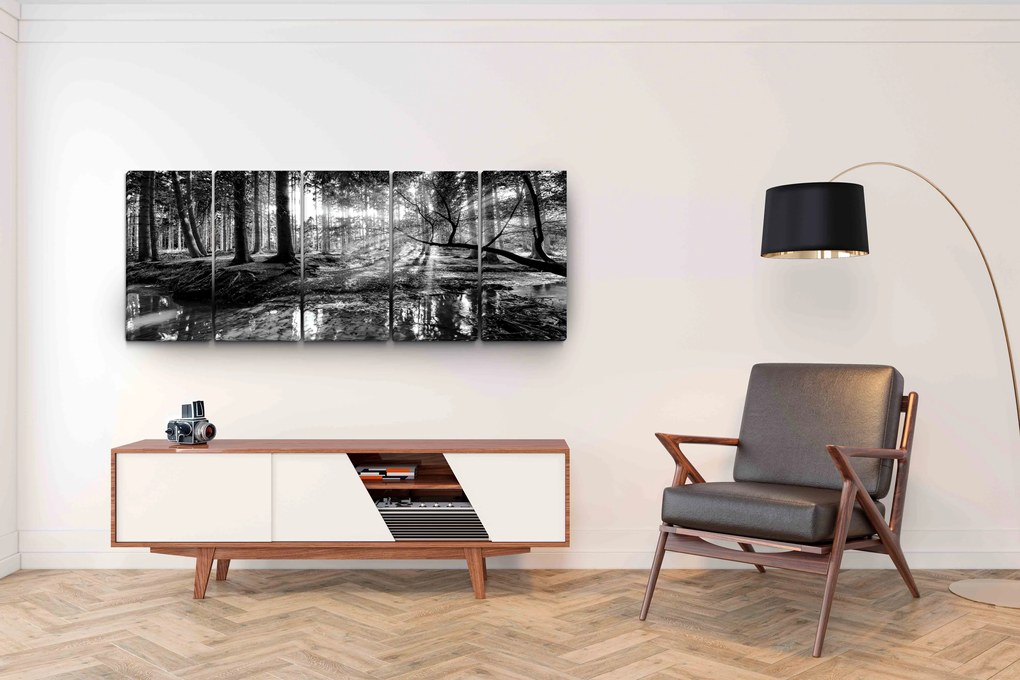 Obraz lesní úsvit černobílý Velikost (šířka x výška): 150x70 cm