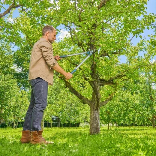 © 2024 - 2025 GARDENA Nůžky na větve EasyCut L, dvoubřité, ideální pro čerstvé dřevo