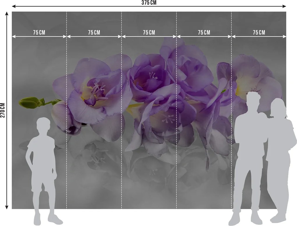 Fototapeta na míru Něžná Orchidej | Vliesová fototapeta na zed' | DFTNXXL2400