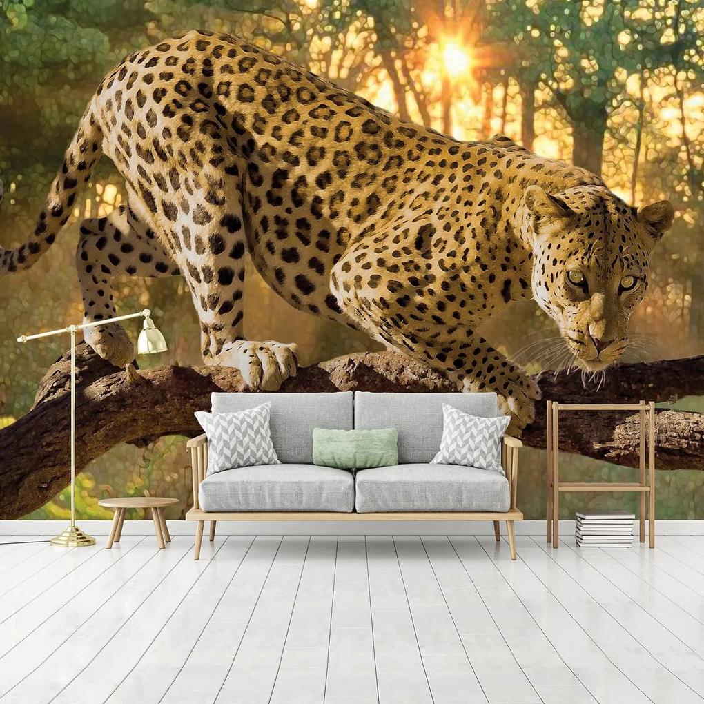 Fototapeta - Jaguar Forest Woods (254x184 cm)