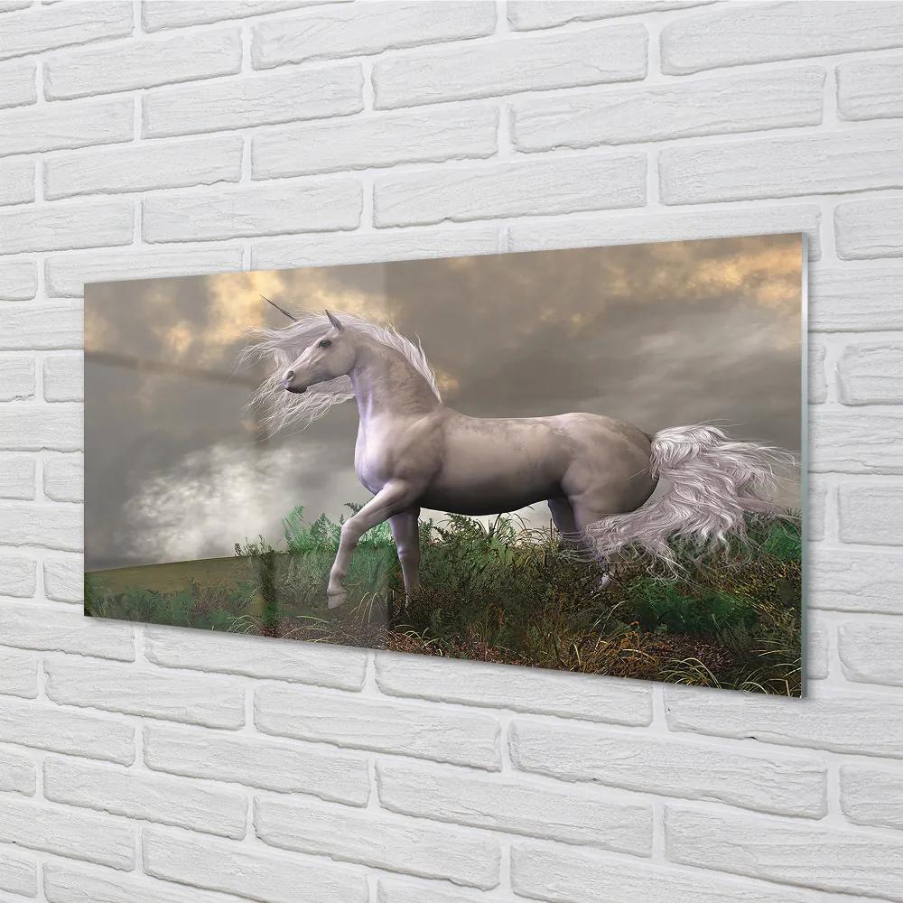 Skleněný panel Unicorn mraky 140x70 cm