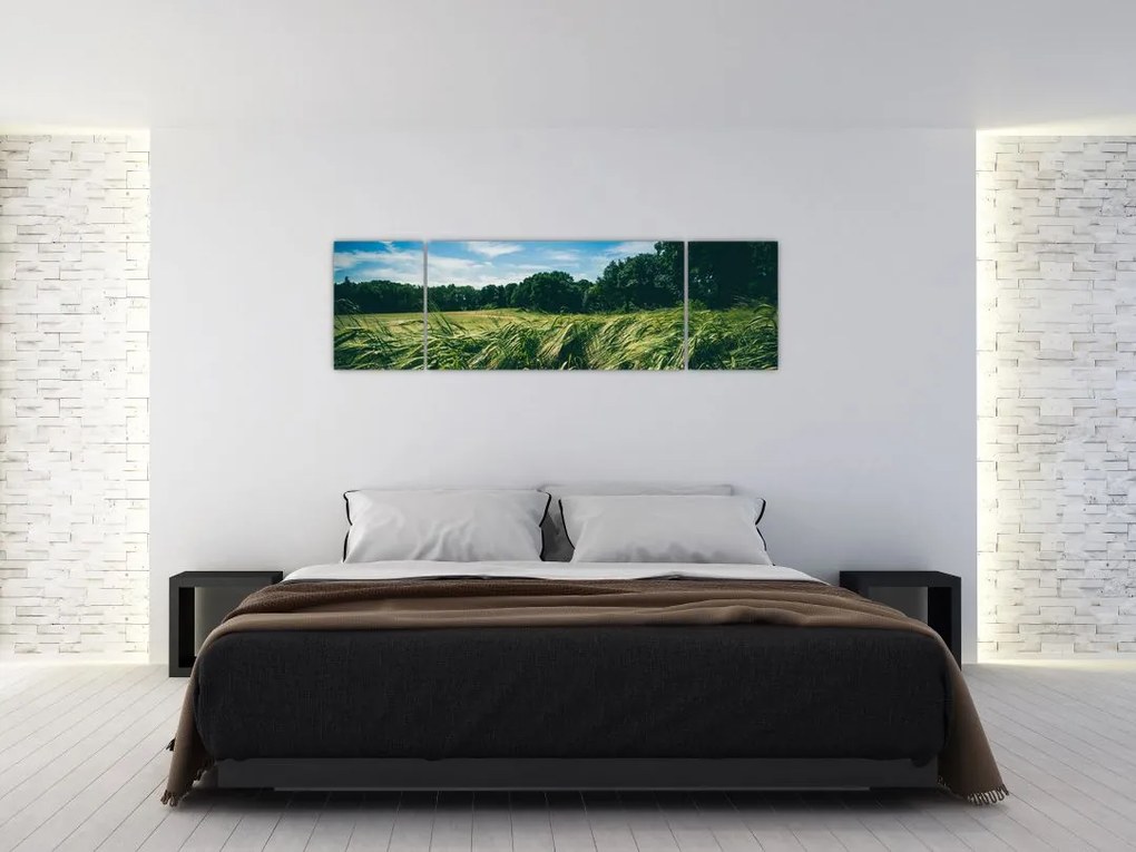 Obraz louky a lesa (170x50 cm)
