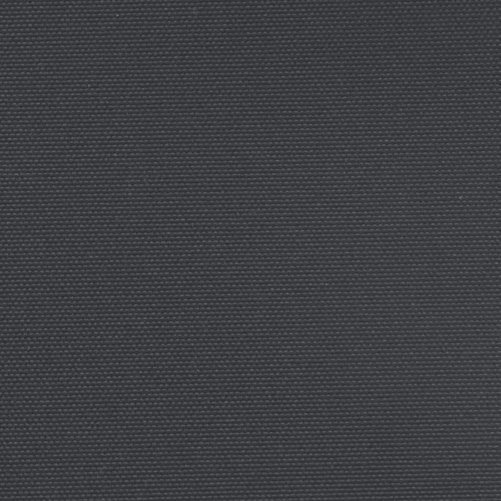 Zatahovací boční markýza černá 120 x 1 000 cm
