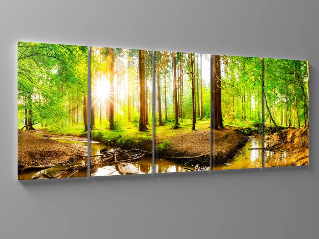 Liox Obraz lesní potok Rozměr: 150 x 60 cm