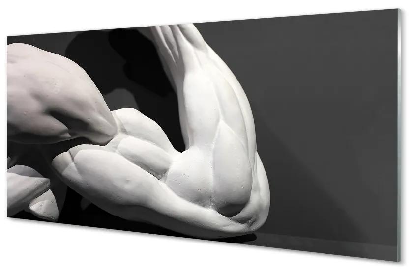Obraz na skle Sval black and white 125x50 cm