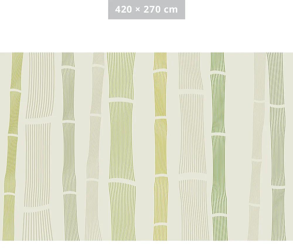 obrazová tapeta bambus Velikost: 420 × 270 cm