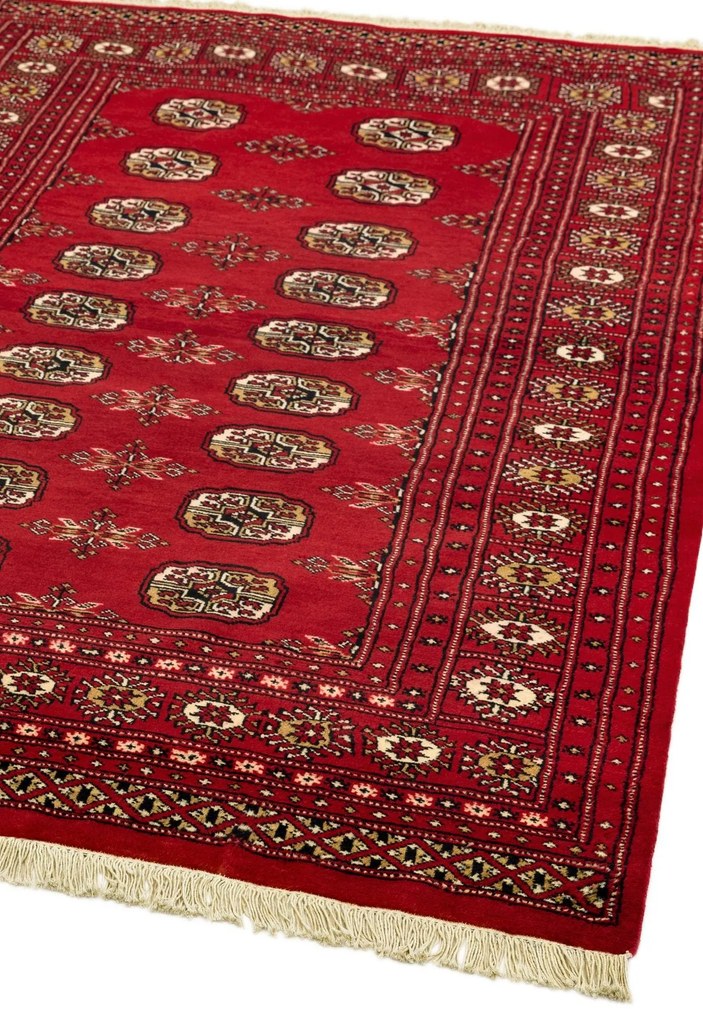 Červený koberec Monyl Red Rozměry: 80x240 cm