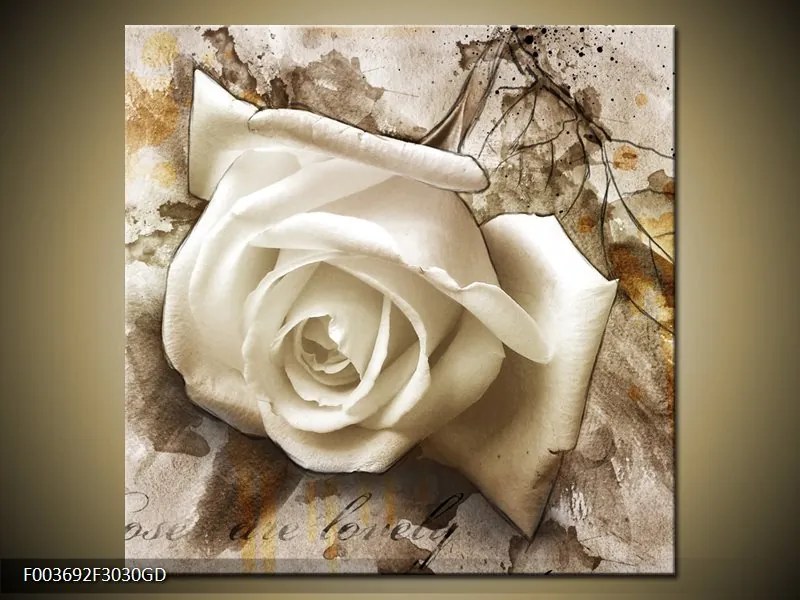 Obraz bílé růže  (), 40 dalších rozměrů