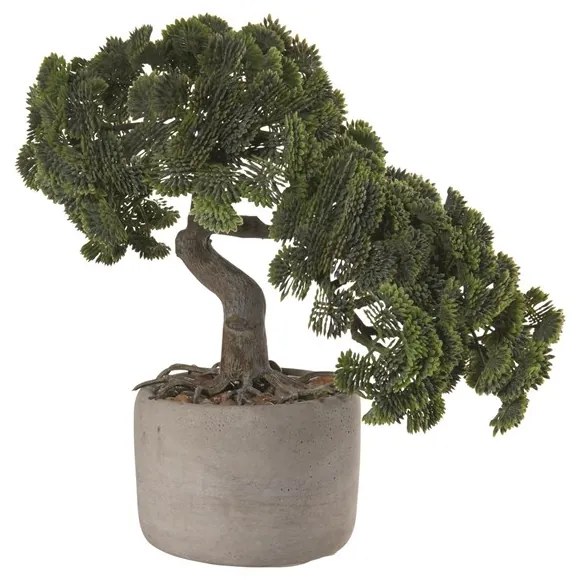 Bonsai Asa Selection CYPŘIŠ vč. květináče