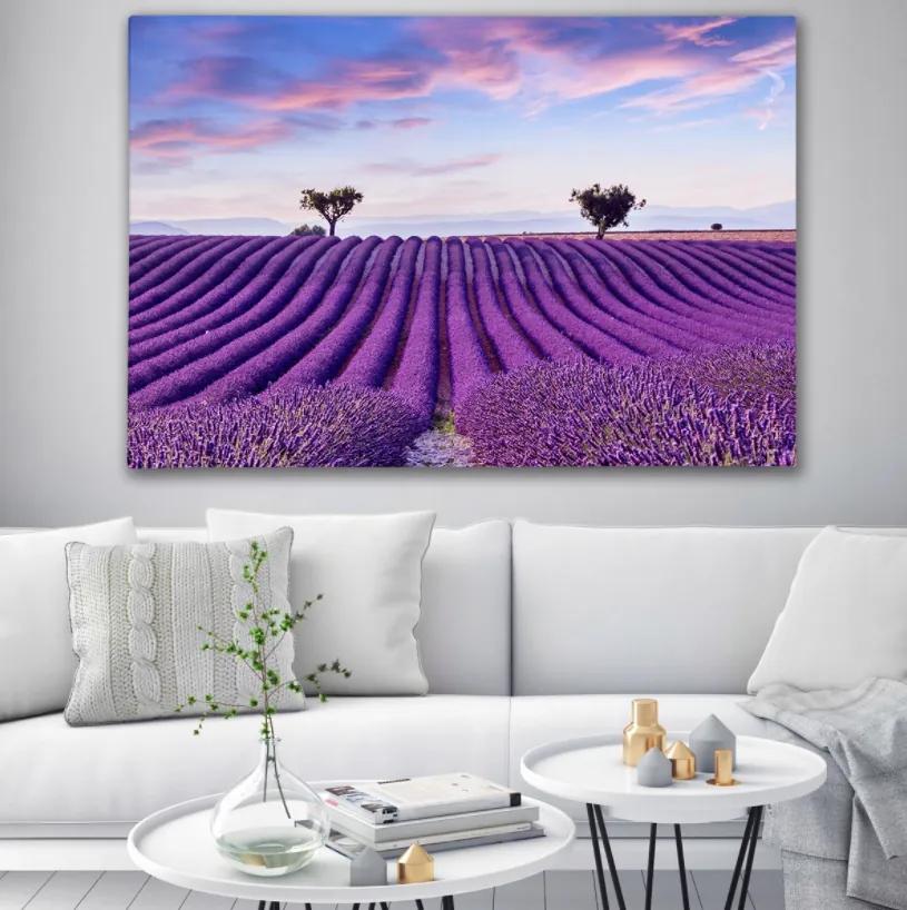 YESTU Obraz na plátně 120x80cm,3D efekt, levandulové pole,fialová