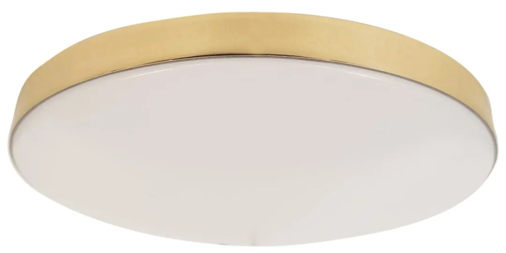 Stropní LED svítilna MAYA, 1xLED 15W, (bílý plast), G