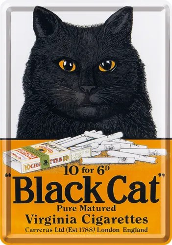 Postershop Plechová pohlednice - Black Cat