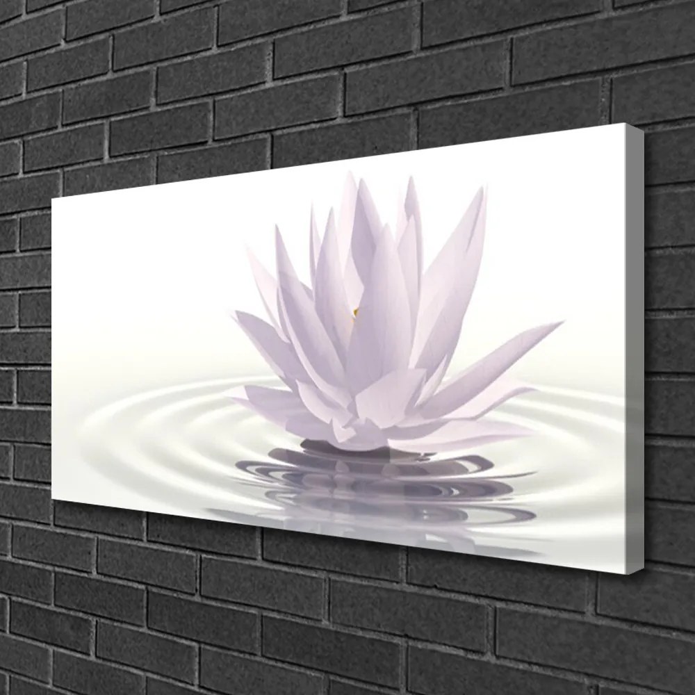 Obraz na plátně Květ Voda Umění 100x50 cm