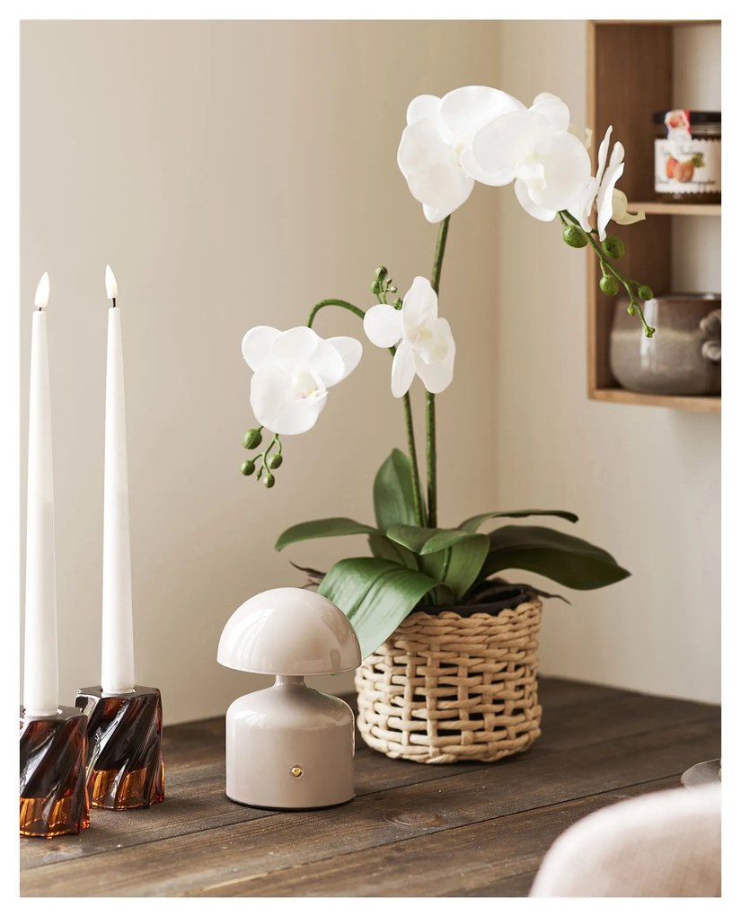 House Nordic Stolní LED lampa AULLA šedá