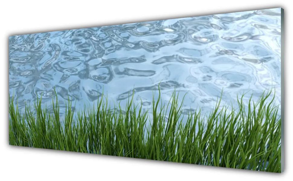akrylový obraz Tráva Voda Příroda 125x50 cm